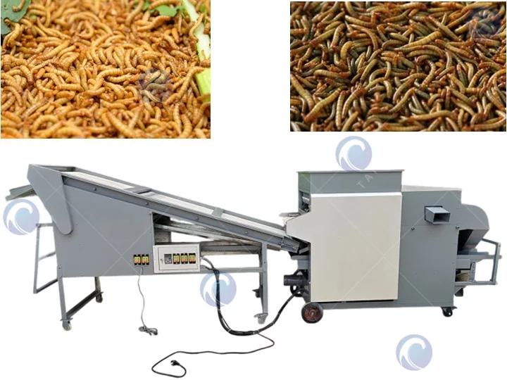 Mealworm Separating Machine Mealworm Sorting Separator Price
