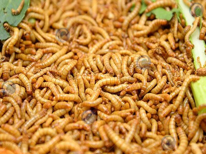 Mealworm Separating Machine Mealworm Sorting Separator Price